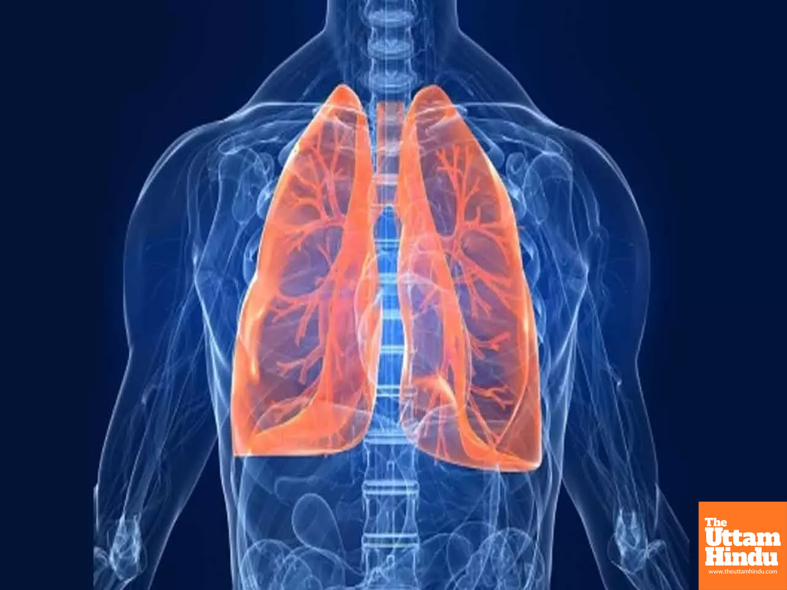 New gene therapy to target airway and lungs via nasal spray